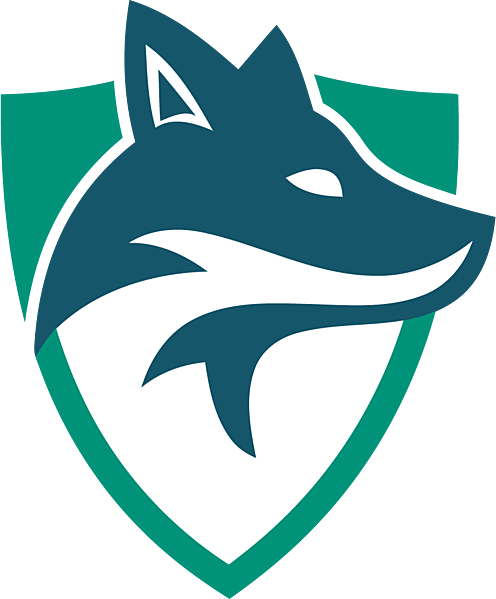 Team SKY (Skyfoxes) Overwatch